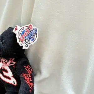 Team Speed | Toys | Dale Earnhardt 3 Team Speed Bears Nascar Plush Bear ...